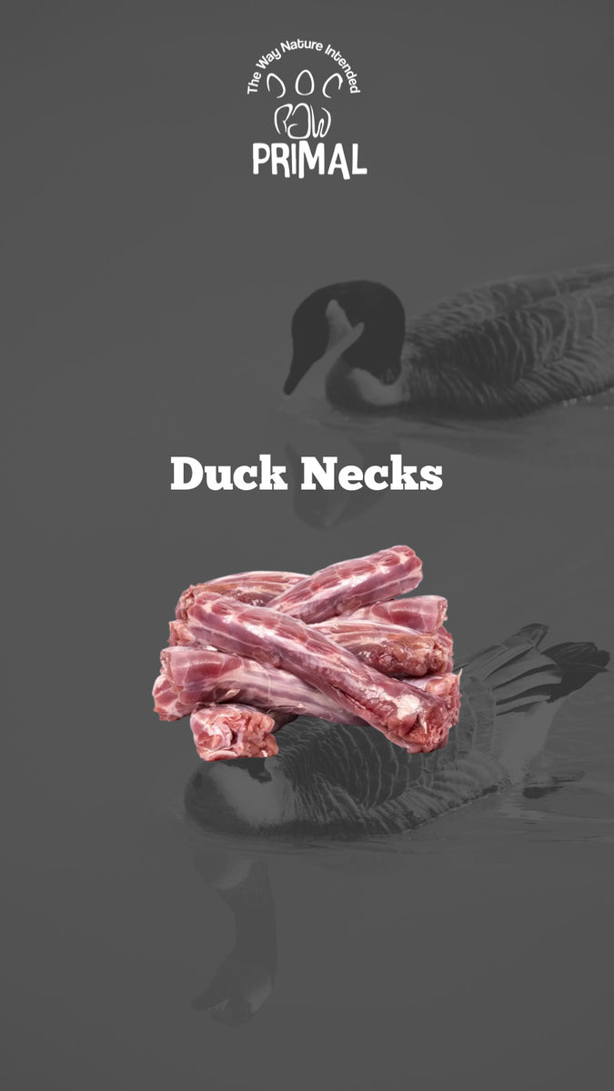 Duck Necks- 500g – PRIMAL RAW